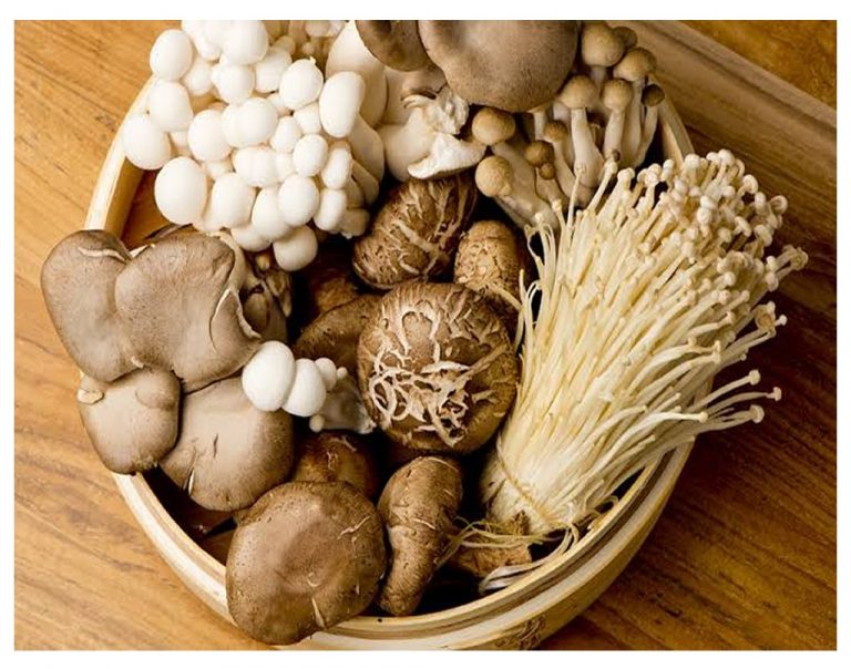 Rahasia Jamur yang Kaya Manfaat bagi Kesehatan - Mushome